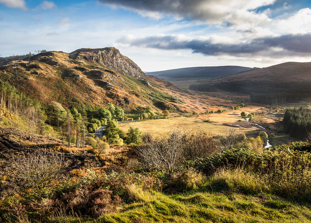 A Guide To Newton Stewart & The Galloway Forest - Discover Scotland