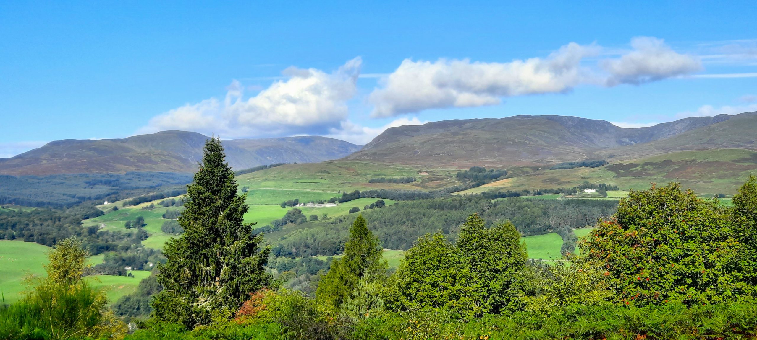 Walks In & Around Crieff - Discover Scotland
